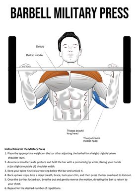 'OH Press Anatomy Diagram' Poster by CHAN | Displate