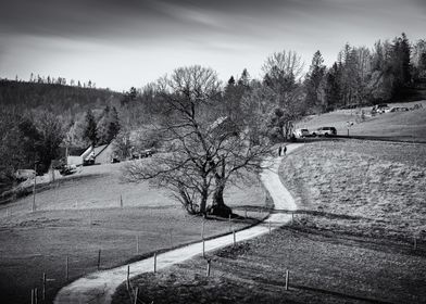 'Winding path' Poster by anettastar | Displate