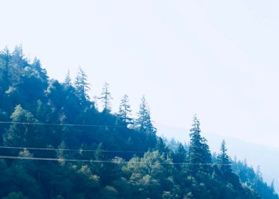 'Hills' Poster by Yuni Lin | Displate