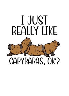 'I Just Really Like' Poster by TheLoneAlchemist | Displate