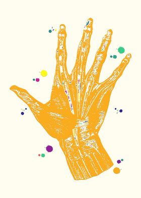 'Hand Muscles Anatomy' Poster by Dutton Jerrell | Displate