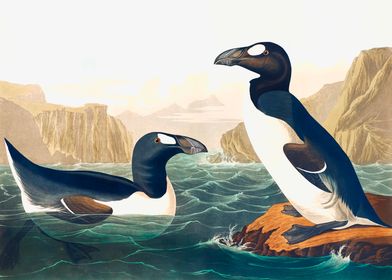 'Great Auk' Poster by Mango Art | Displate