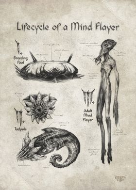 'Lifecycle of a Mind Flayer' Poster by Dungeons and Dragons | Displate
