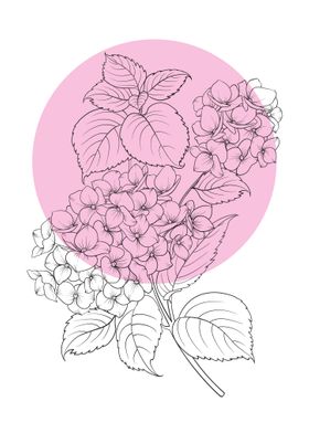 'Hydrangea Line Art Flower' Poster by dkDesign | Displate