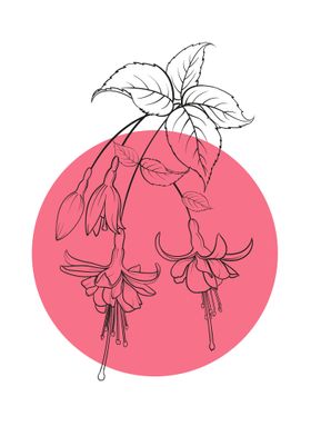 'Fuchsia Line Art Flower' Poster by dkDesign | Displate