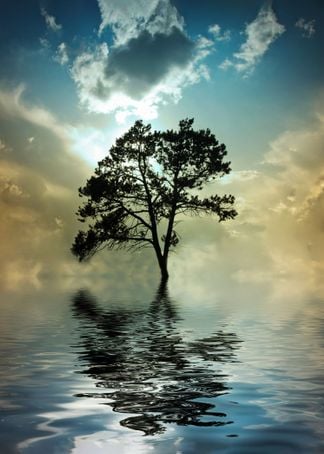 Displate - metal posters | Collect Your Passions