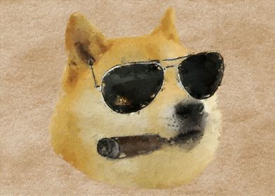 Doge Meme With Sunglasses