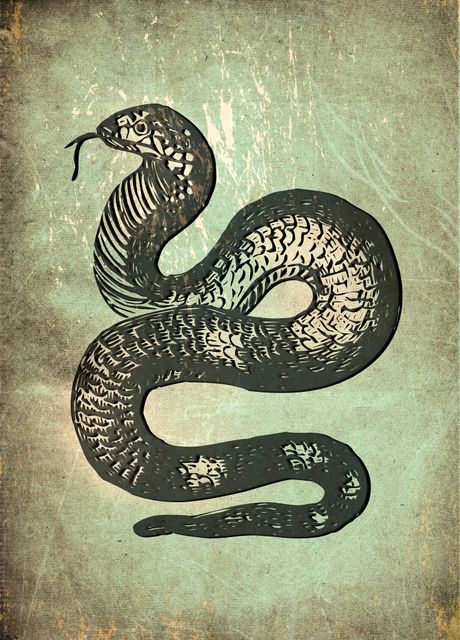 'snake with vintage' Poster by Roswitha Lorz | Displate