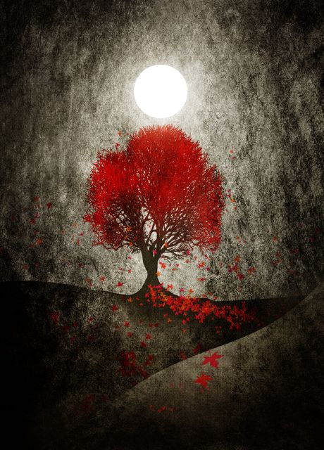 'Red autumn.' Poster by Viviana Gonzalez | Displate