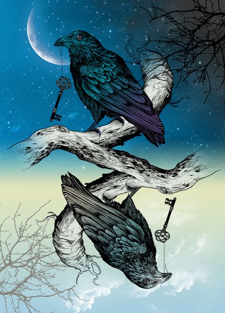 'Raven Night Day' Poster, picture, metal print, paint by Rachel ...