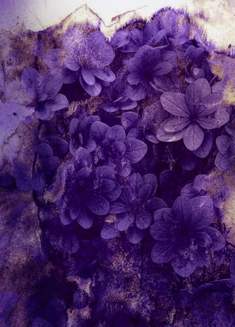 'purple flowers' Poster by agnes trachet | Displate