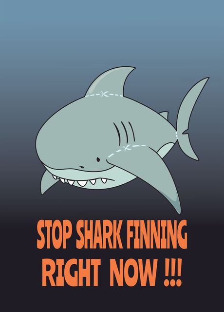 'Stop shark finning' Poster, picture, metal print, paint by mangulica ...