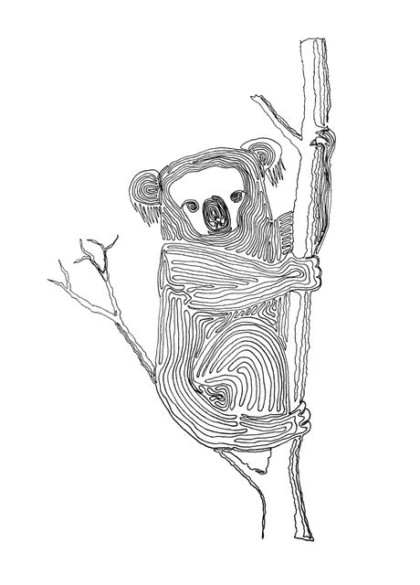 'Koala - Drawing with One Line Line begins at the top of ... ' Poster ...