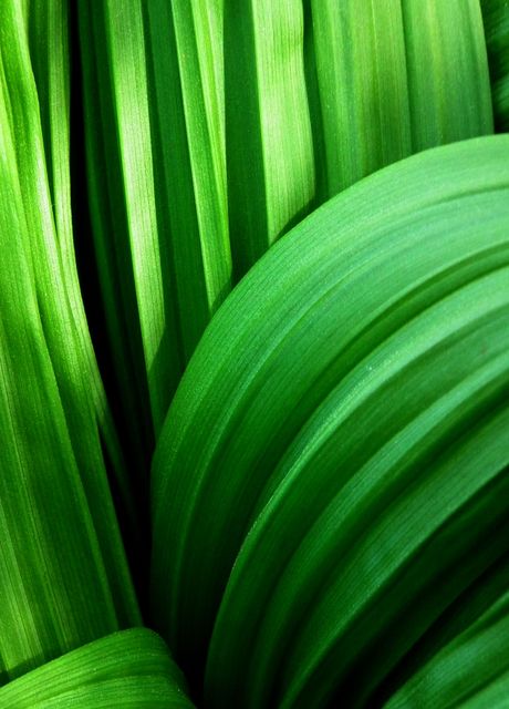 'Green abstract' Poster by aRT sKRATCHES | Displate