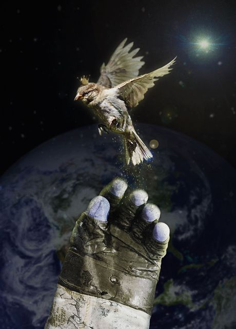 'Freeing' Poster by seam less | Displate