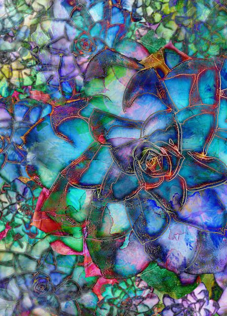 'Succulent' Poster by Klara Acel | Displate