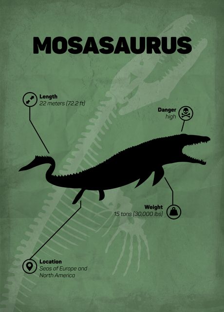 'Mosasaurus' Poster by Michael Planzer | Displate