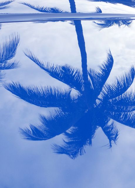 'Blue Reflection' Poster by Rosie Brown | Displate