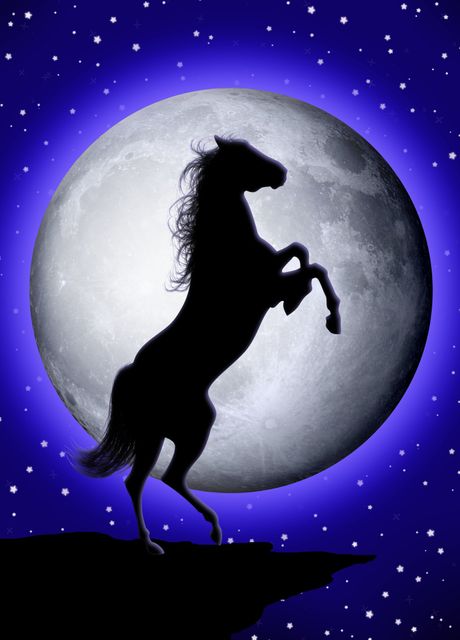 'Wild Horse on Blue Moon ' Poster by Bluedarkat Lem | Displate