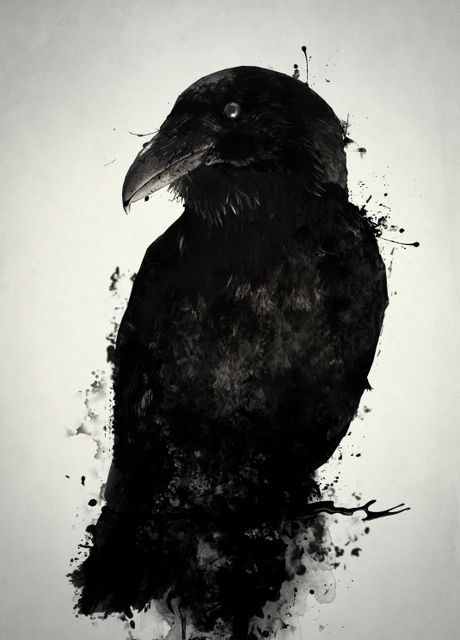 'The Raven' Poster by Nicklas Gustafsson | Displate