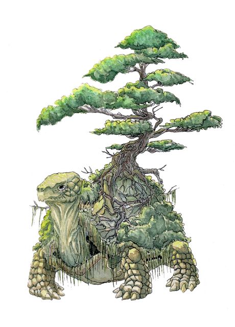 'Turtle island.' Poster by Tien Wen Wu | Displate