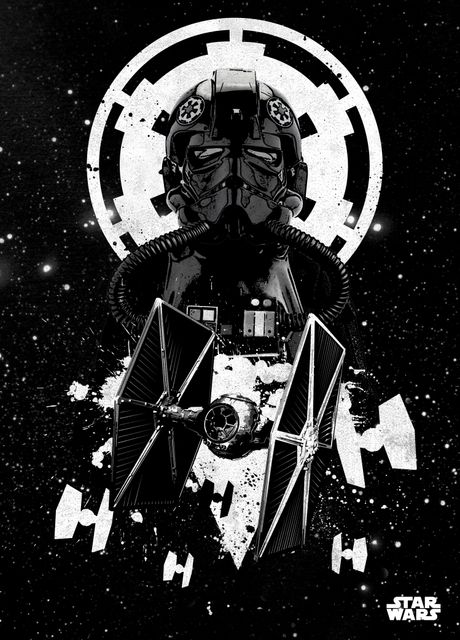 'Tie Fighter Pilot' Poster, picture, metal print, paint by Star Wars ...