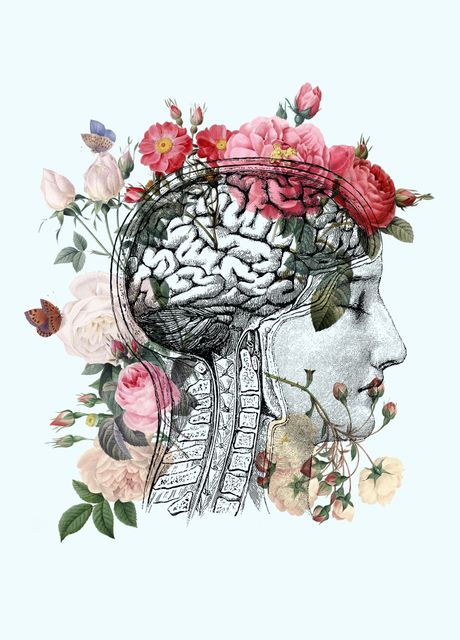 'The Beautiful Brain' Poster by Catherine Holcombe | Displate