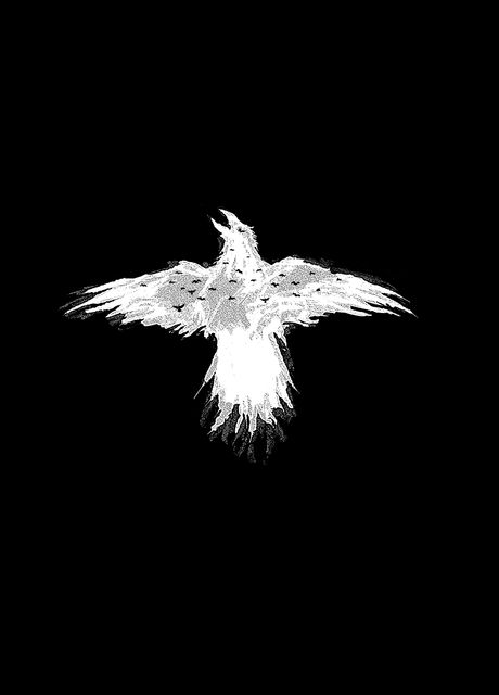 'Flying Free' Poster by design by sebrodbrick | Displate