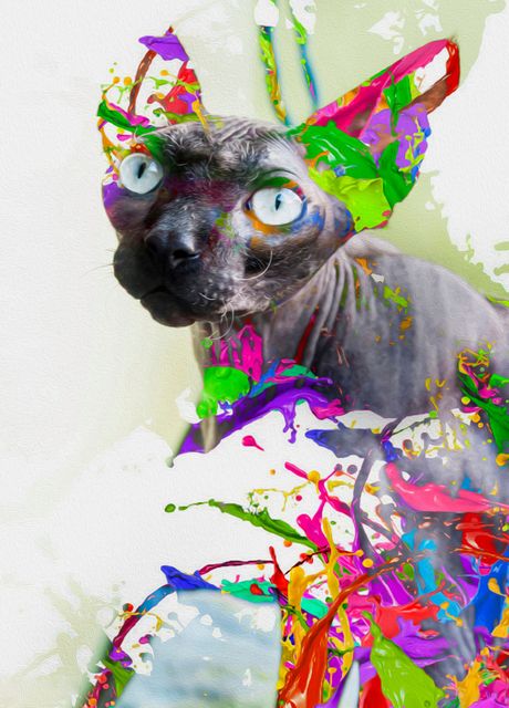 'Psychedelic cat' Poster by Cristo Emilio | Displate