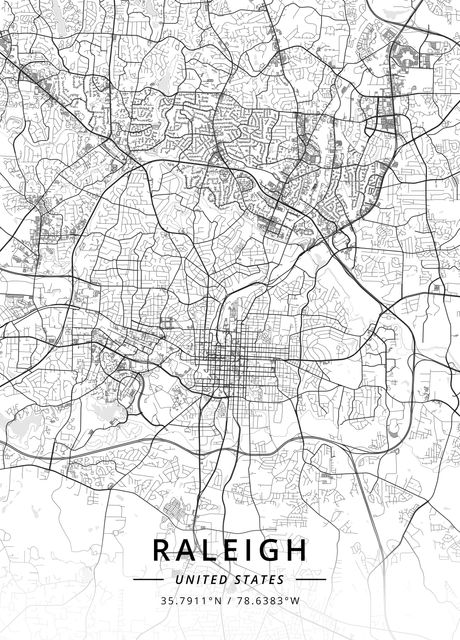 'Raleigh, United States' Poster by Designer Map Art | Displate