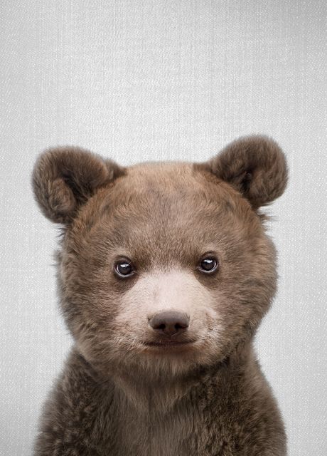 'Baby Bear Colorful' Poster by Gal Design | Displate