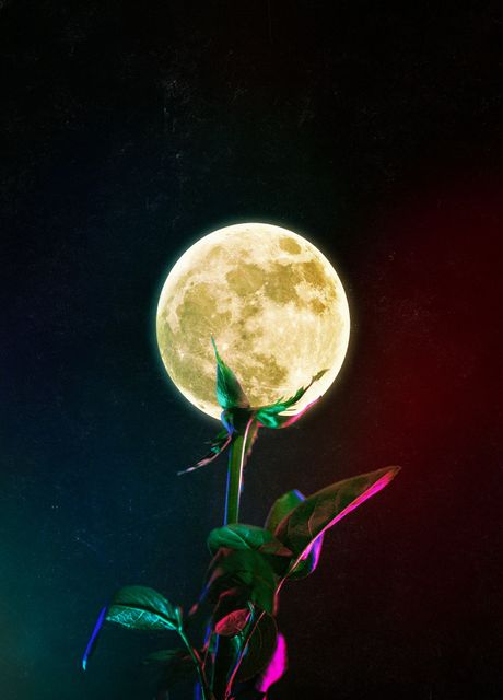 'Moon Flower' Poster by seam less | Displate