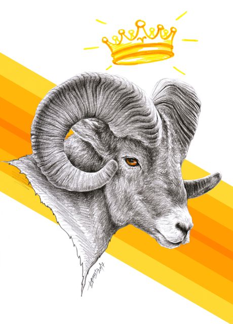 'Ram king' Poster by eDrawings 38 | Displate