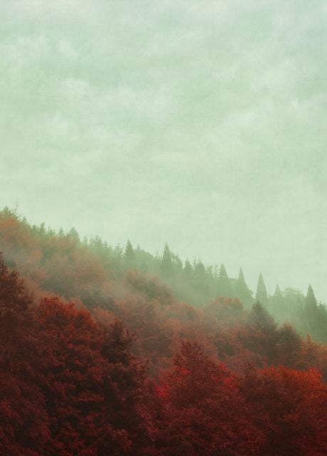 'retro red forest' Poster by Dirk Wüstenhagen | Displate