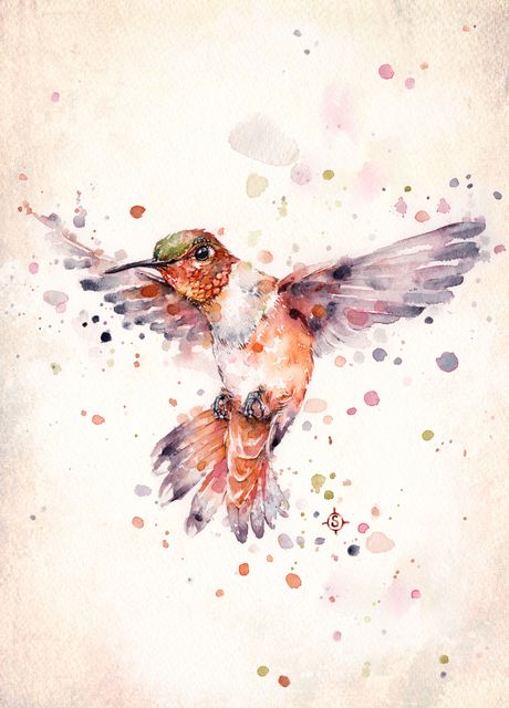'Rufous The Hummingbird' Poster by Sillier Than Sally | Displate
