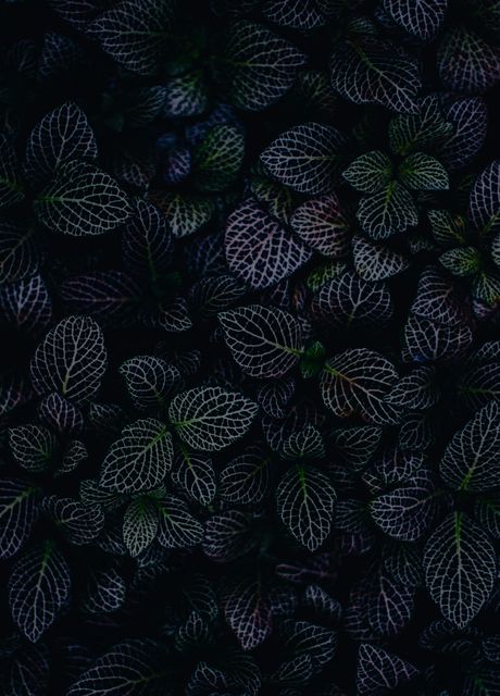 'Black Material Texture ' Poster by Hipster Lounge | Displate