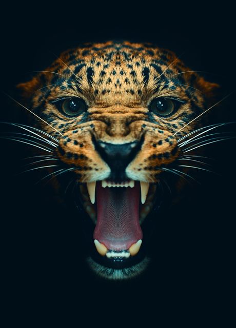 'angry leopard face poster ' Poster by MK studio | Displate
