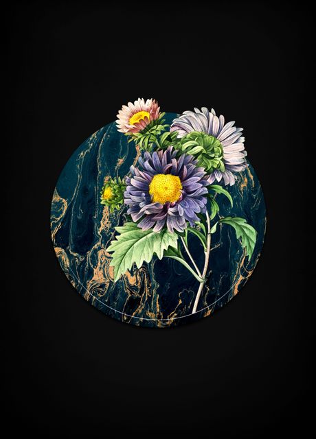 'China Aster' Poster by Holy Rock Design | Displate