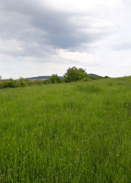 'Open field' Poster by Edy Art Space | Displate