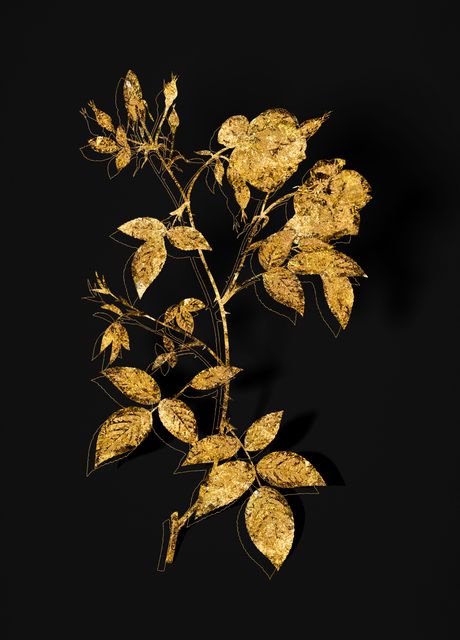 'Gold Botanical on Black' Poster by Holy Rock Design | Displate