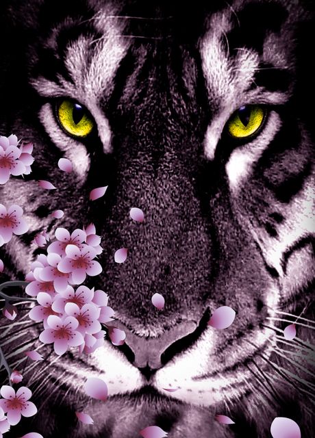 'Lurking Tiger' Poster by ANDRE MCKAY | Displate