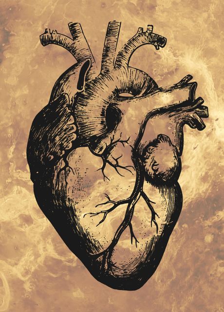 'Anatomy Design Heart' Poster by EthectorArt | Displate