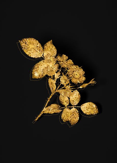 'Gold Botanical on Black' Poster by Holy Rock Design | Displate