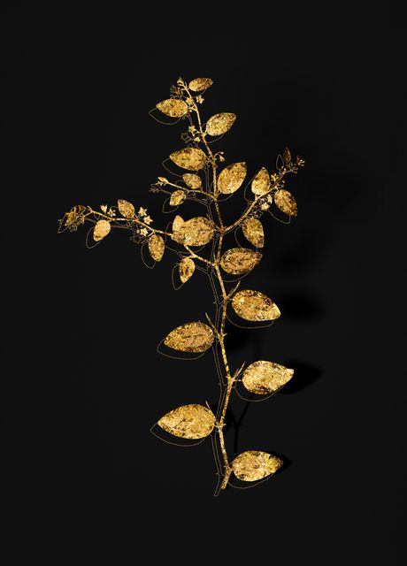 'Gold Botanical on Black' Poster by Holy Rock Design | Displate