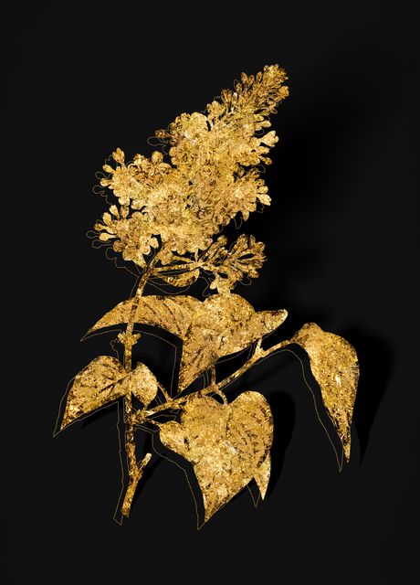 'Gold Botanical on Black' Poster by Holy Rock Design | Displate