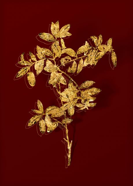 'Gold Botanical on Red' Poster by Holy Rock Design | Displate