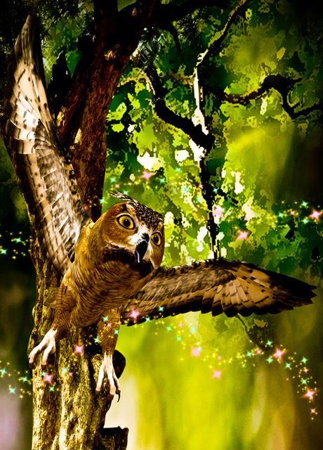 'Fantasy Owl' Poster by ANDRE MCKAY | Displate