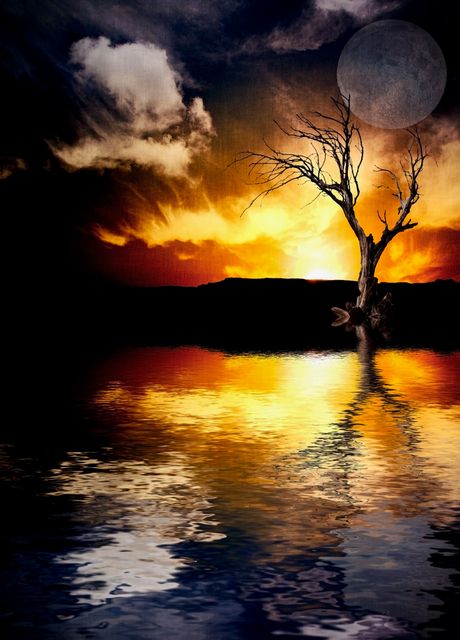 'Dramatic sunset over calm ' Poster by Bruce Rolff | Displate