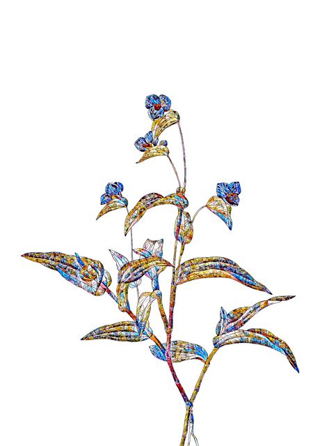 'Stained Glass Botanical' Poster by Holy Rock Design | Displate