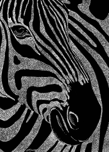 'Zebra White Dots on Blac' Poster by Jane Lucas | Displate